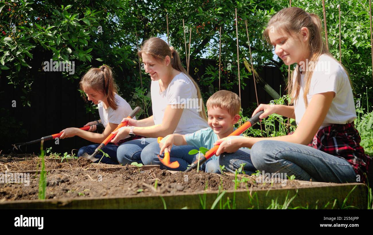Adults and children digging soil at garden and planting fresh organic ...