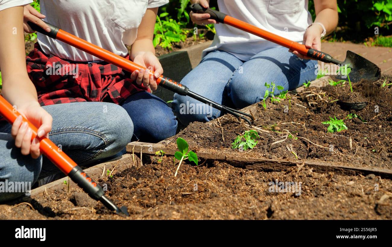 Closeup photo of family digging soil and ground at garden with shovels ...
