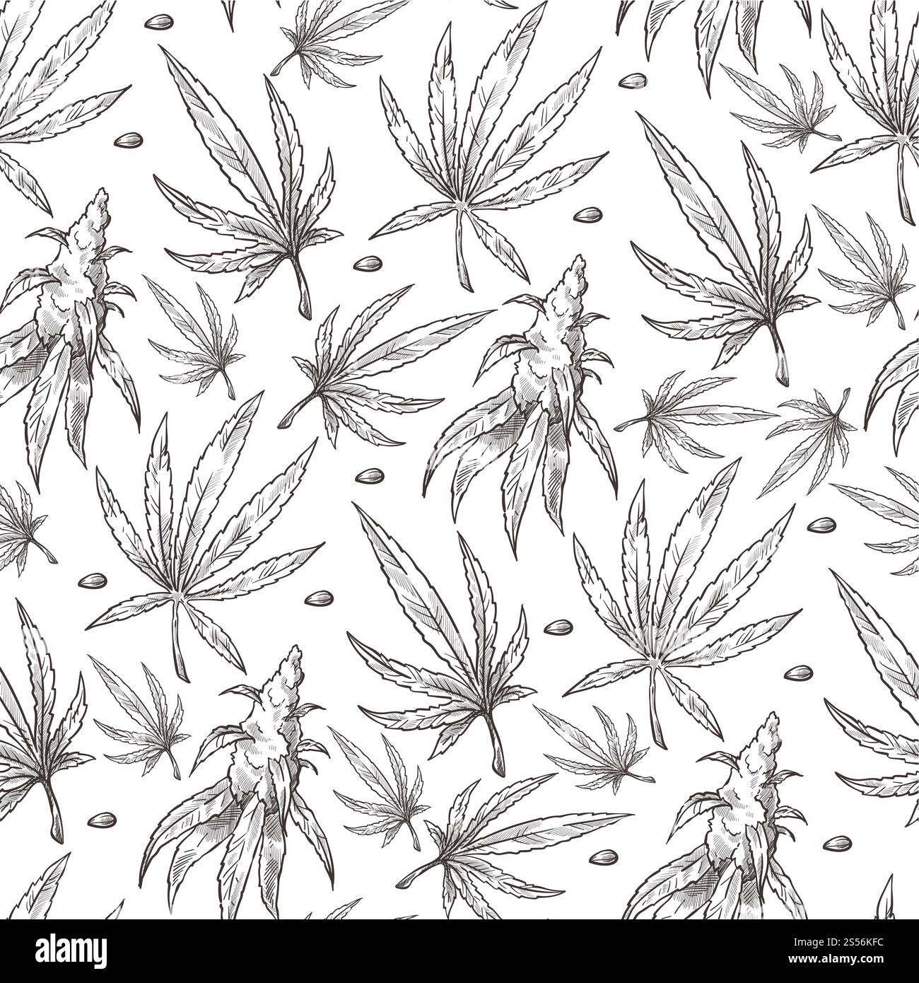 Hemp foliage monochrome sketch outline chemical hi-res stock ...