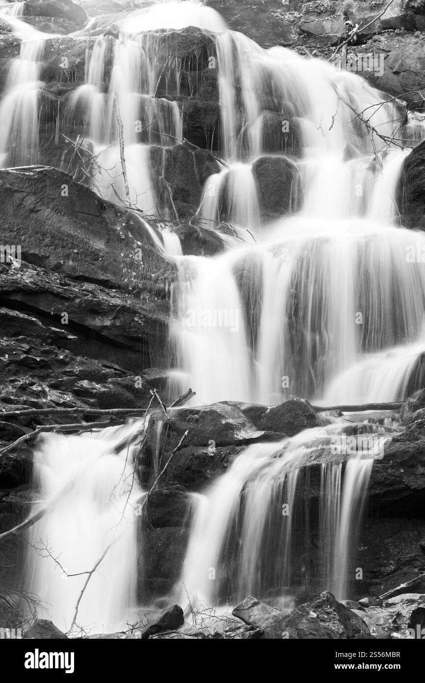 Autumn forest white mountains Black and White Stock Photos & Images - Alamy