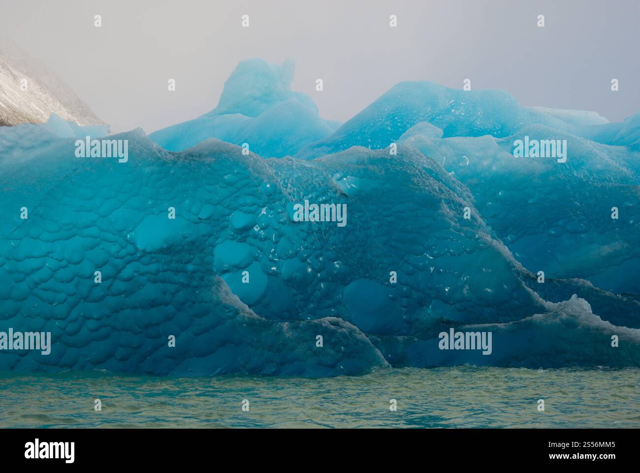 A rare stunninng blue iceberg in the waters of Svalbard (Spitsbergen ...