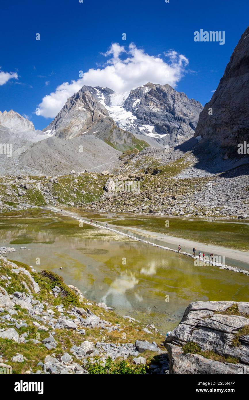 Cow lake, Lac des Vaches, in Vanoise national Park, Savoy, France. Cow ...