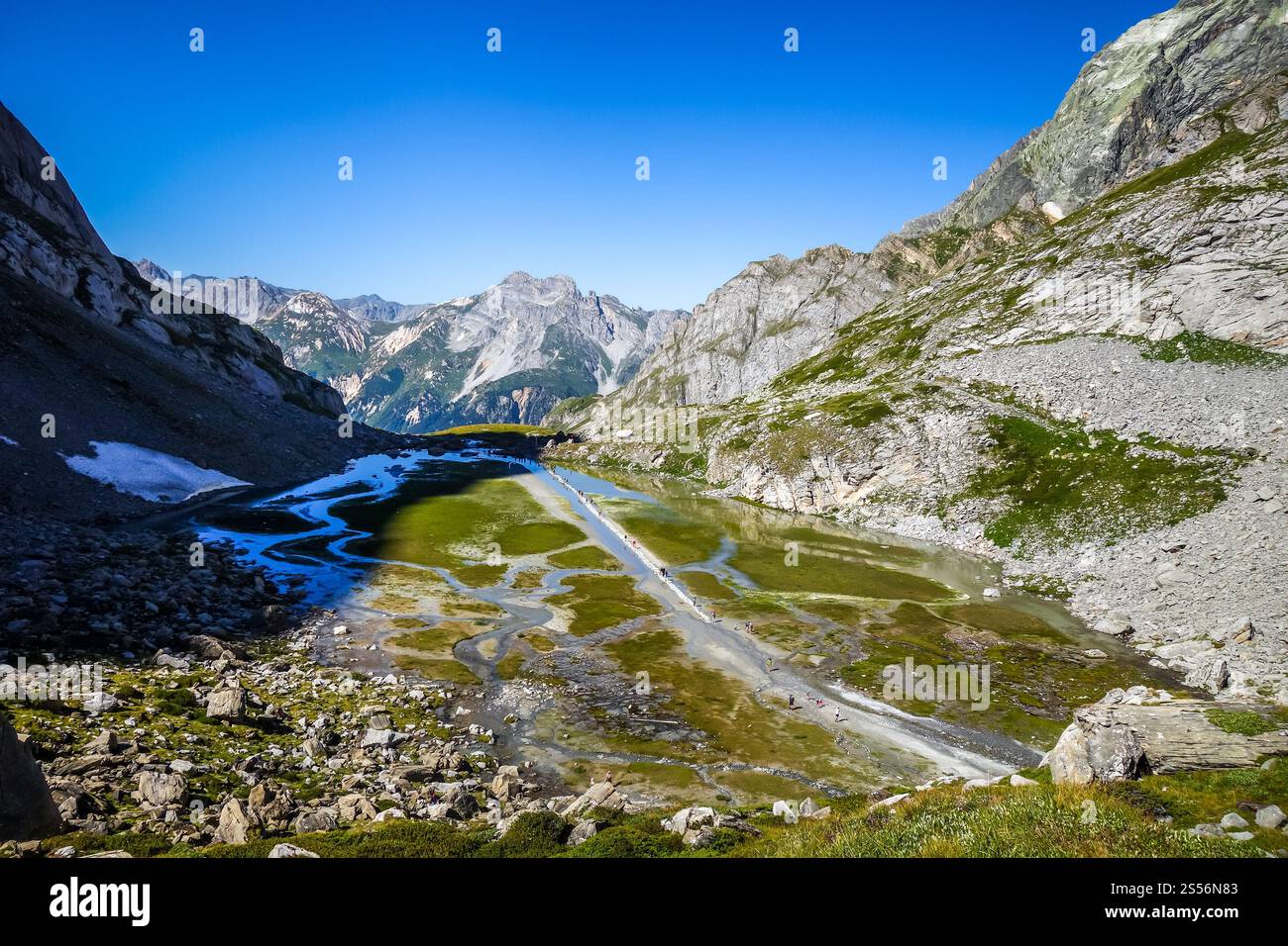 Cow lake, Lac des Vaches, in Vanoise national Park, Savoy, France. Cow ...