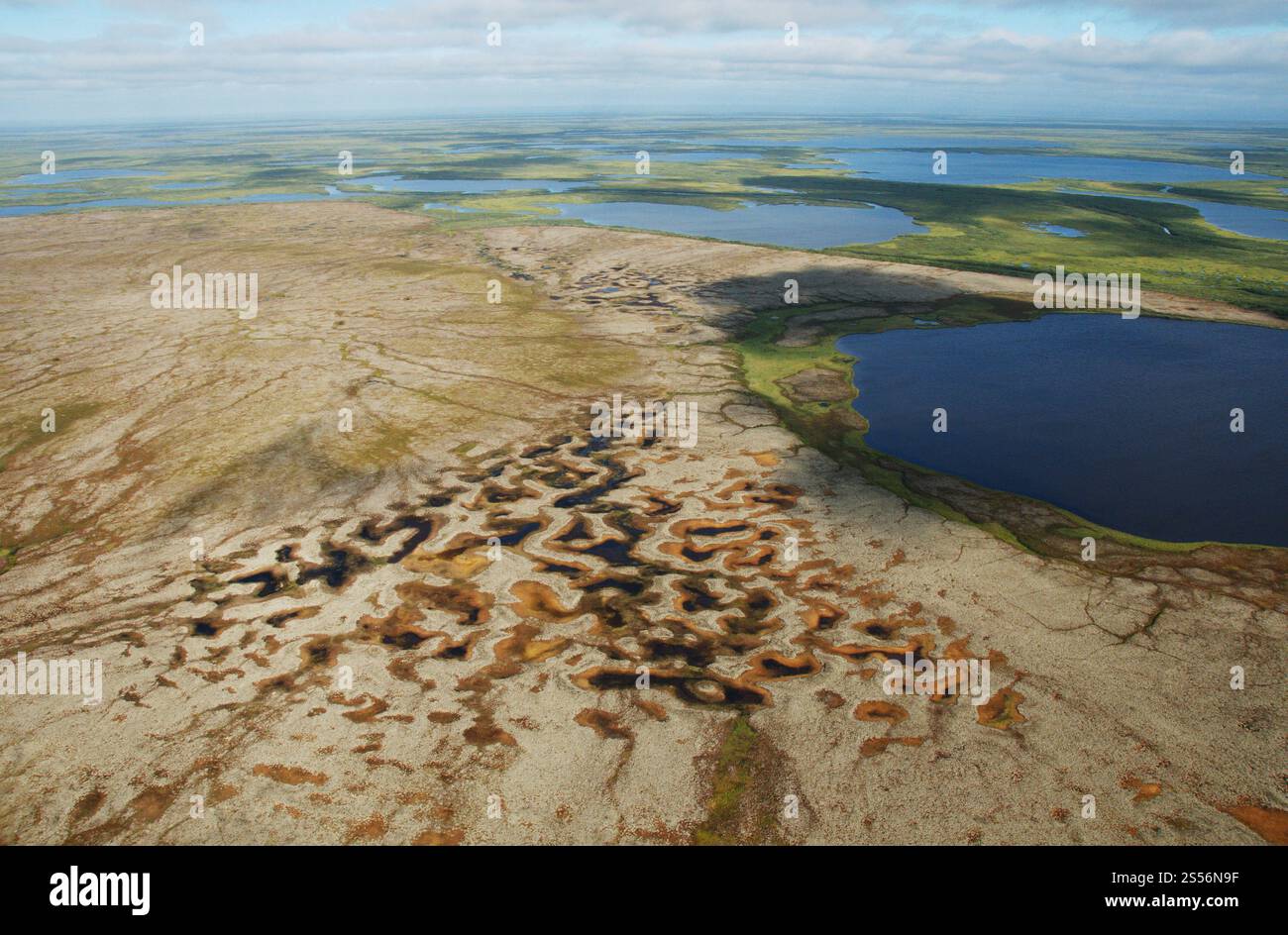 Aerial view of the Russian Arctic tundra with its wetlands and lakes in ...