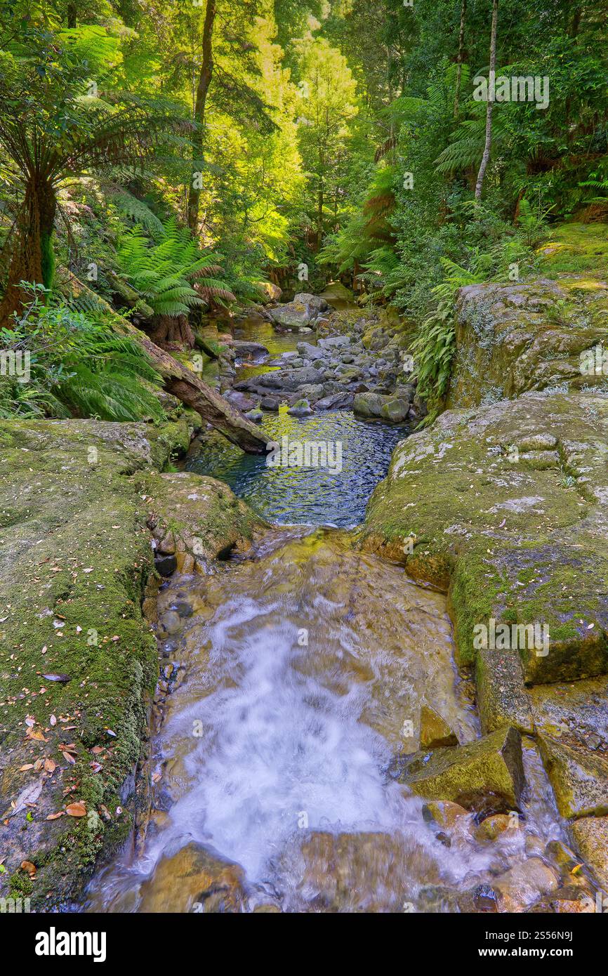 Slide falls waterfall cascade with clear river water in rainforest ...