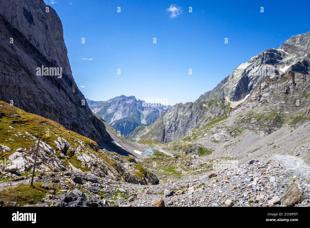 Cow lake, Lac des Vaches, in Vanoise national Park, Savoy, France. Cow ...