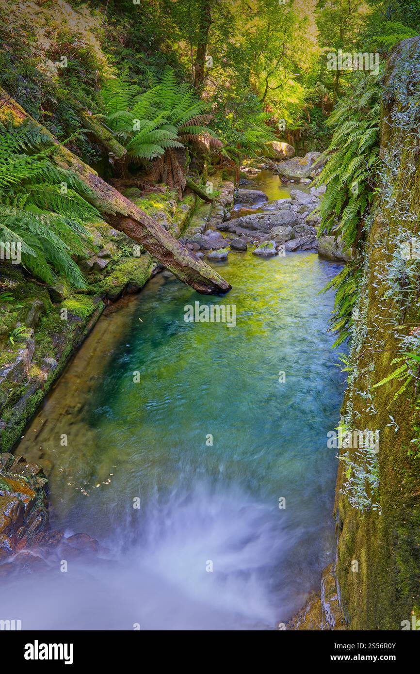 Slide falls waterfall cascade with clear river water in rainforest ...
