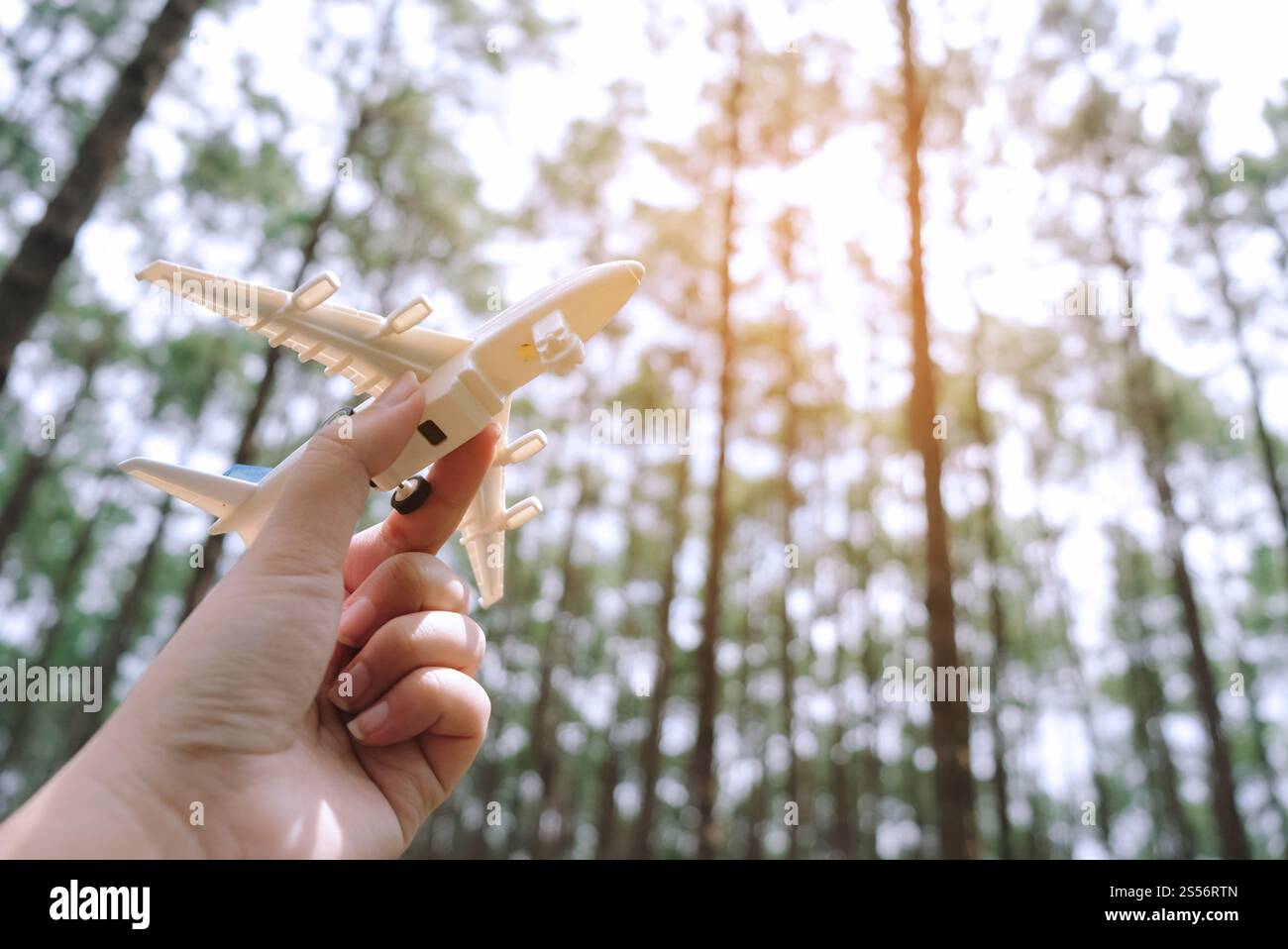 Dreams of journey. hand holding airplane toy model. Plane taking flight ...