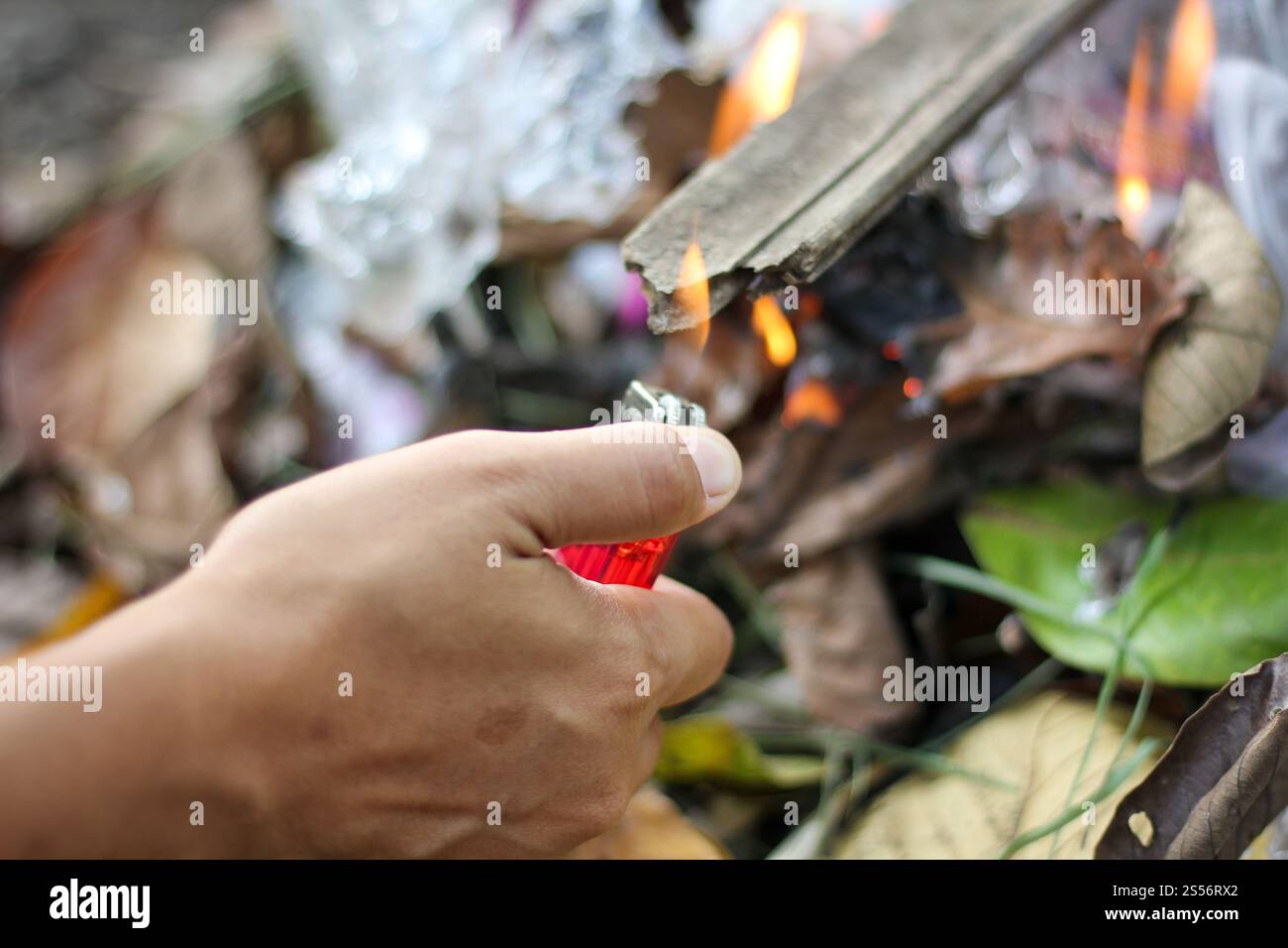 Household ecology hi-res stock photography and images - Alamy