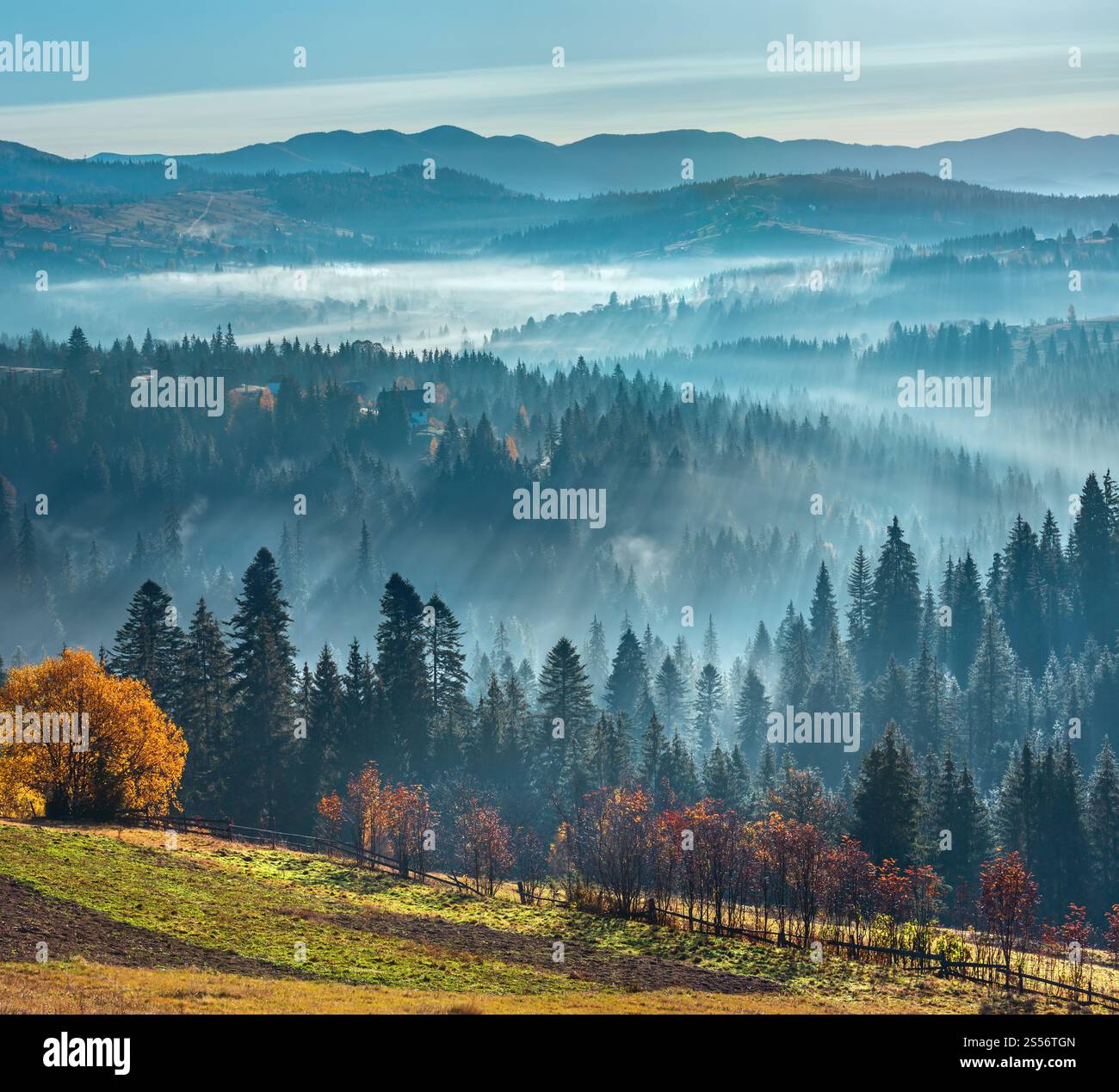 The air. Light and shadows in mist. First rays of sun through fog and ...