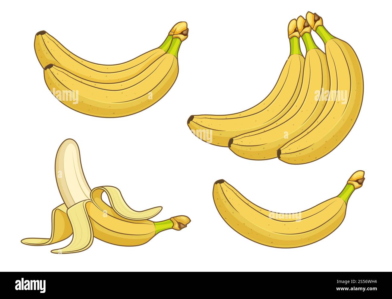 Cartoon banana fruits. Bunches of fresh bananas vector illustration ...