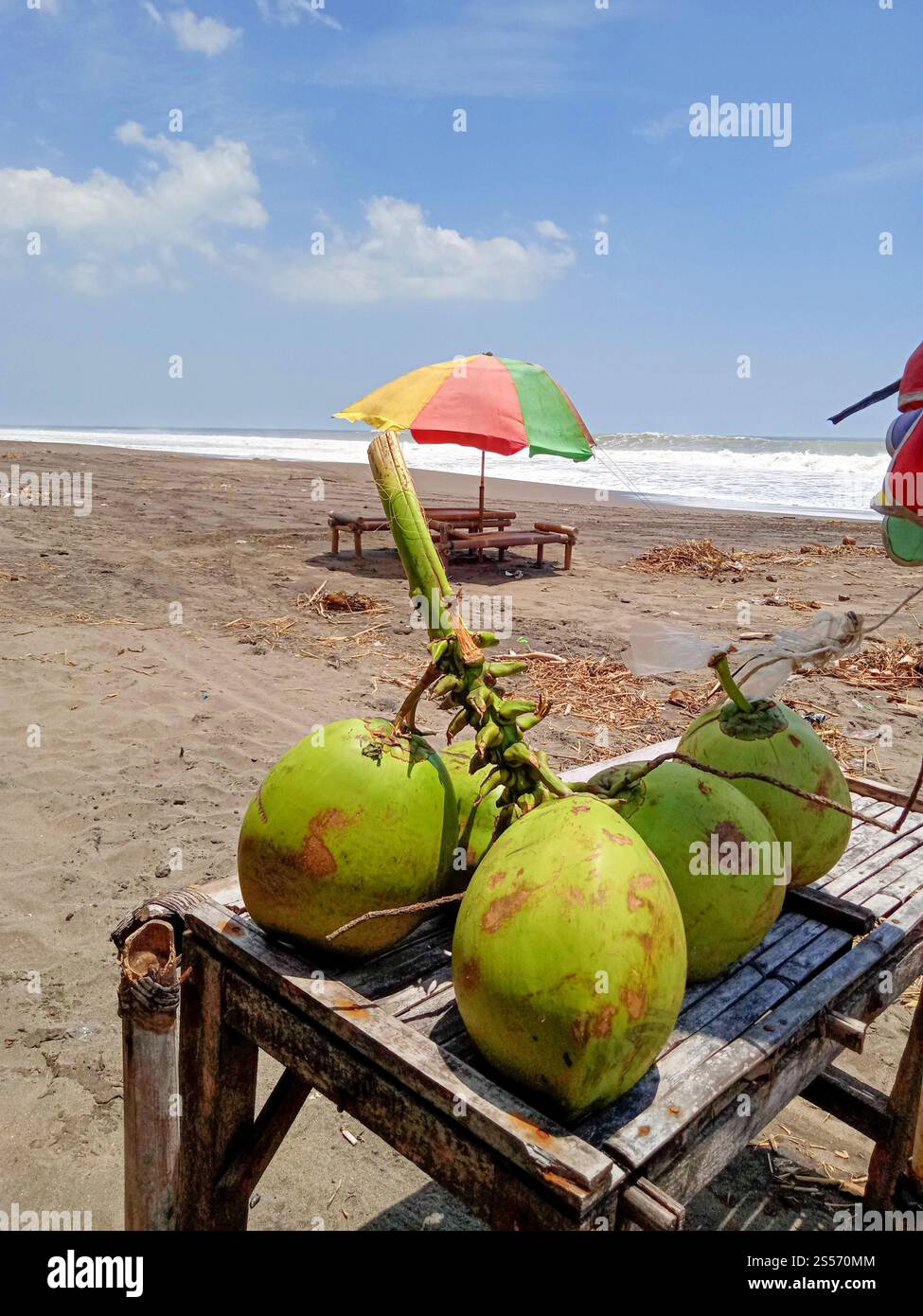 Green coconut fruit on beach seaside Stock Photo - Alamy