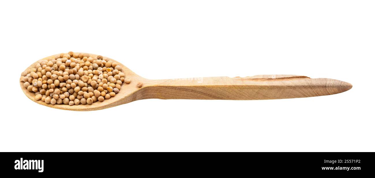 white mustard seeds (sinapis alba) in wooden spoon isolated on white ...
