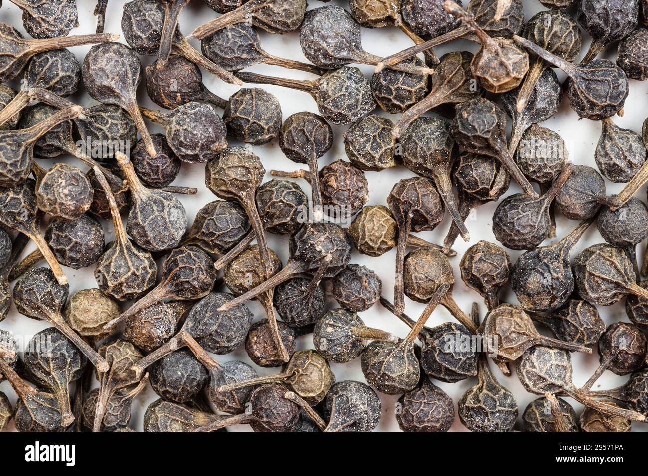 food background - many tailed pepper (cubeb) close up Stock Photo - Alamy