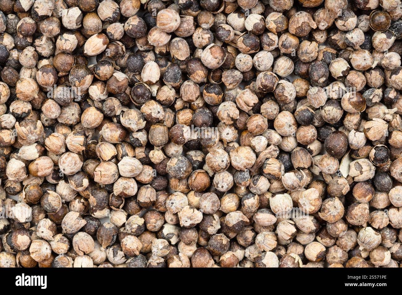 food background - monks pepper (vitex) close up Stock Photo - Alamy