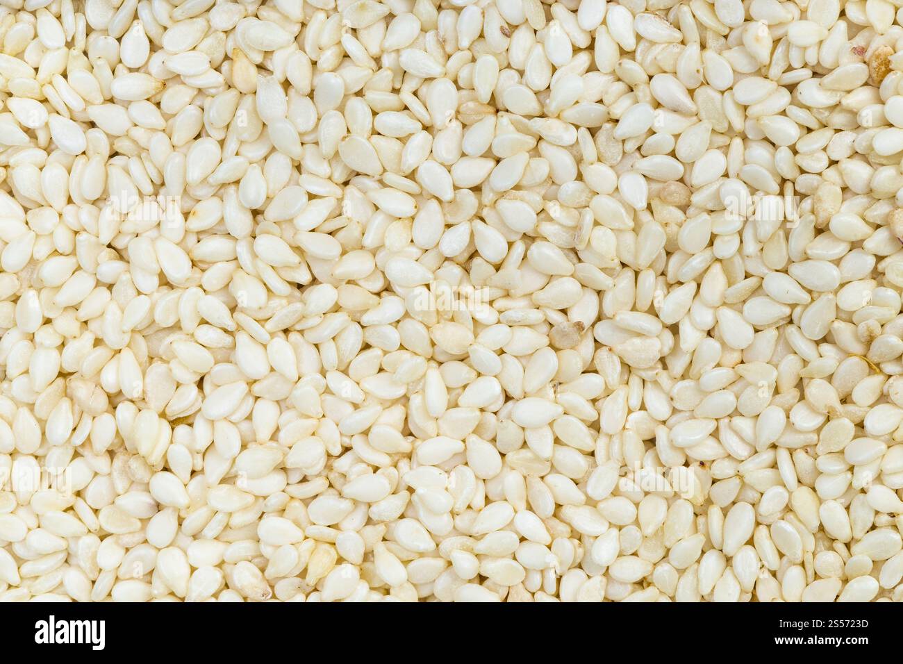 food background - many white sesame seeds Stock Photo - Alamy