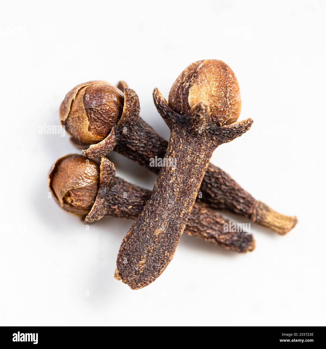 Flower on gray Cut Out Stock Images & Pictures - Alamy