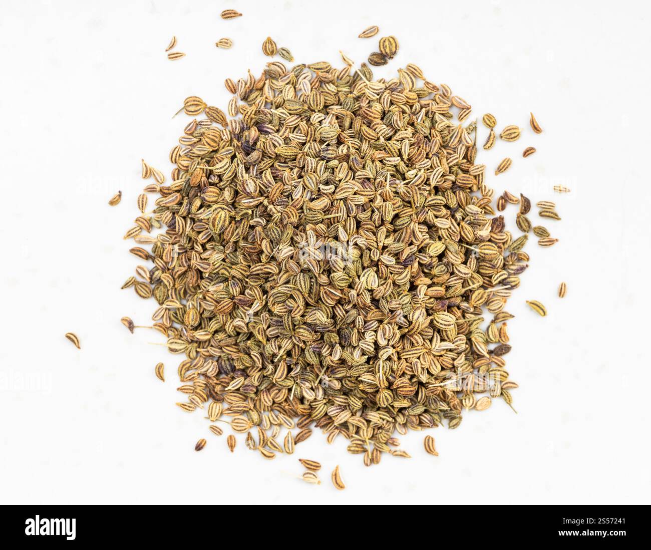 top view of pile of Ajwain seeds close up on gray ceramic plate Stock ...