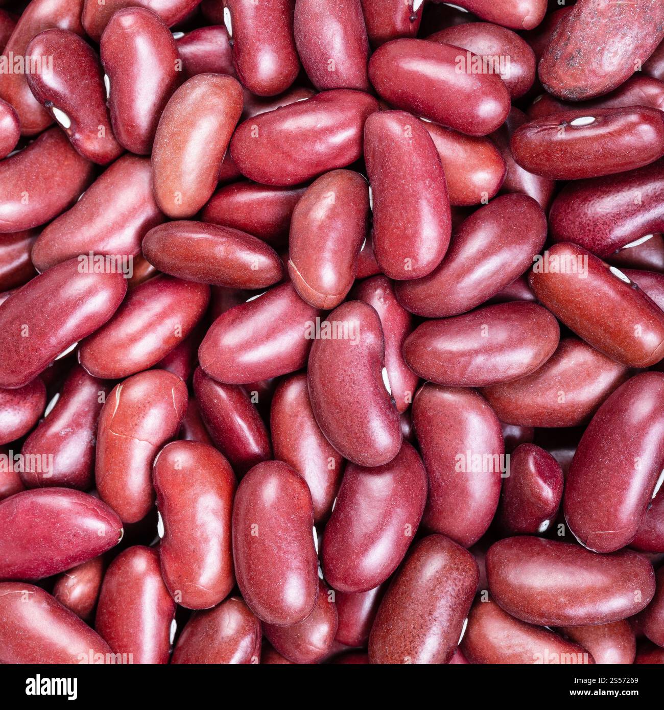 square food background - raw kidney beans close up Stock Photo - Alamy