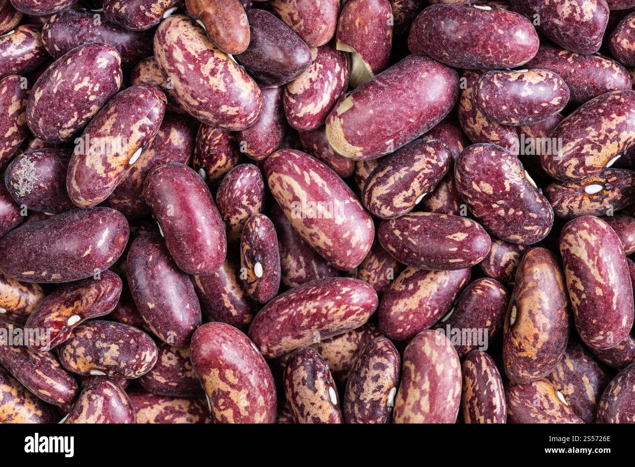 food background - raw red spotted pinto beans Stock Photo - Alamy