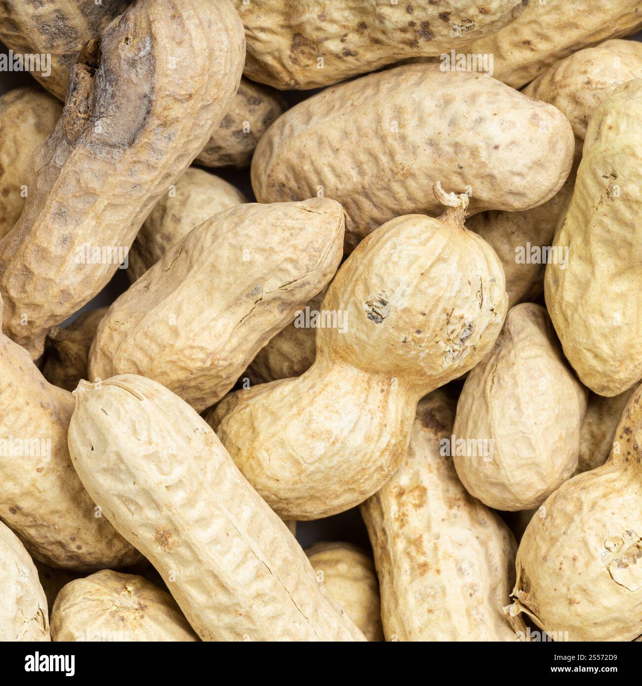 square food background - whole peanuts close up Stock Photo - Alamy