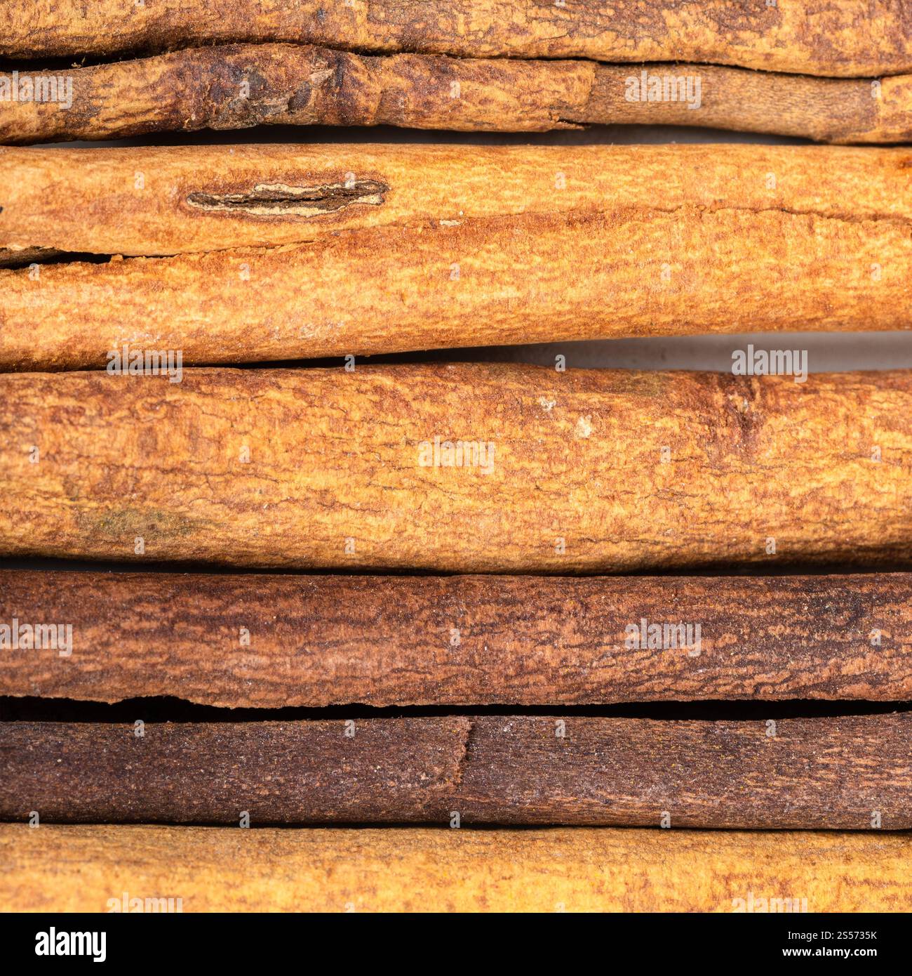 square food background - several sticks of cassia cinnamon close up ...