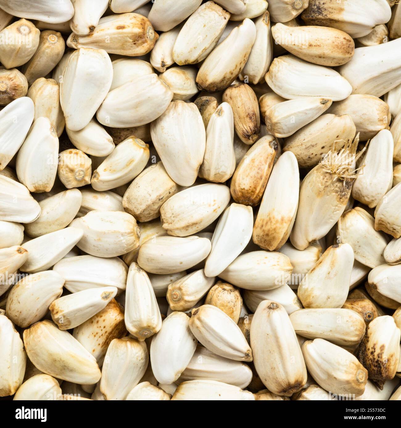 square food background - safflower seeds close up Stock Photo - Alamy