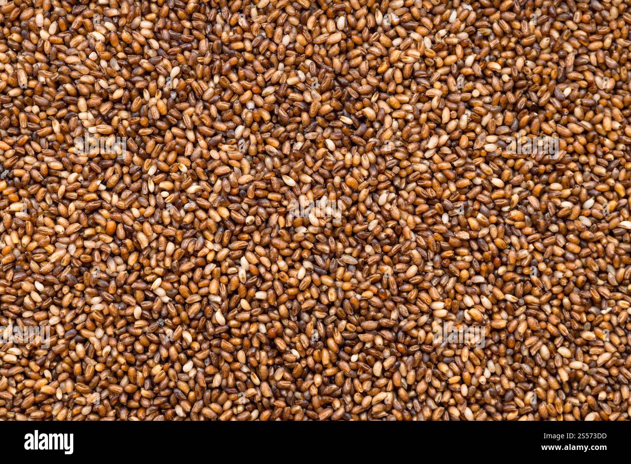 food background - whole-grain teff seeds close up Stock Photo - Alamy