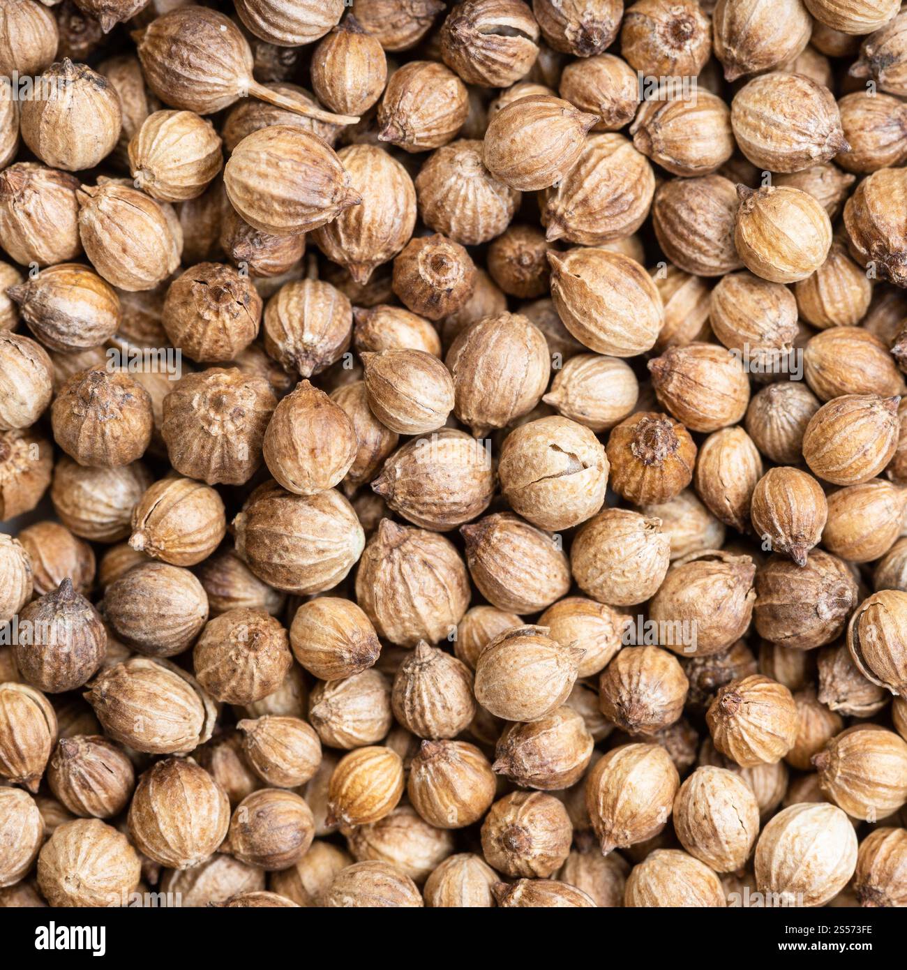 square food background - dried coriander seeds close up Stock Photo - Alamy