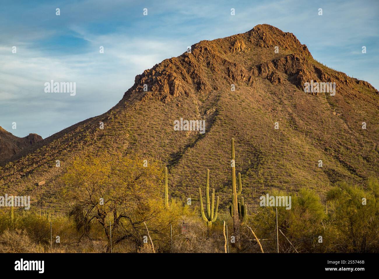 Explore the picturesque landscapes of Tucson, Arizona, during golden ...