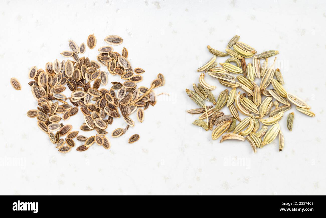 Suva gray hi-res stock photography and images - Alamy