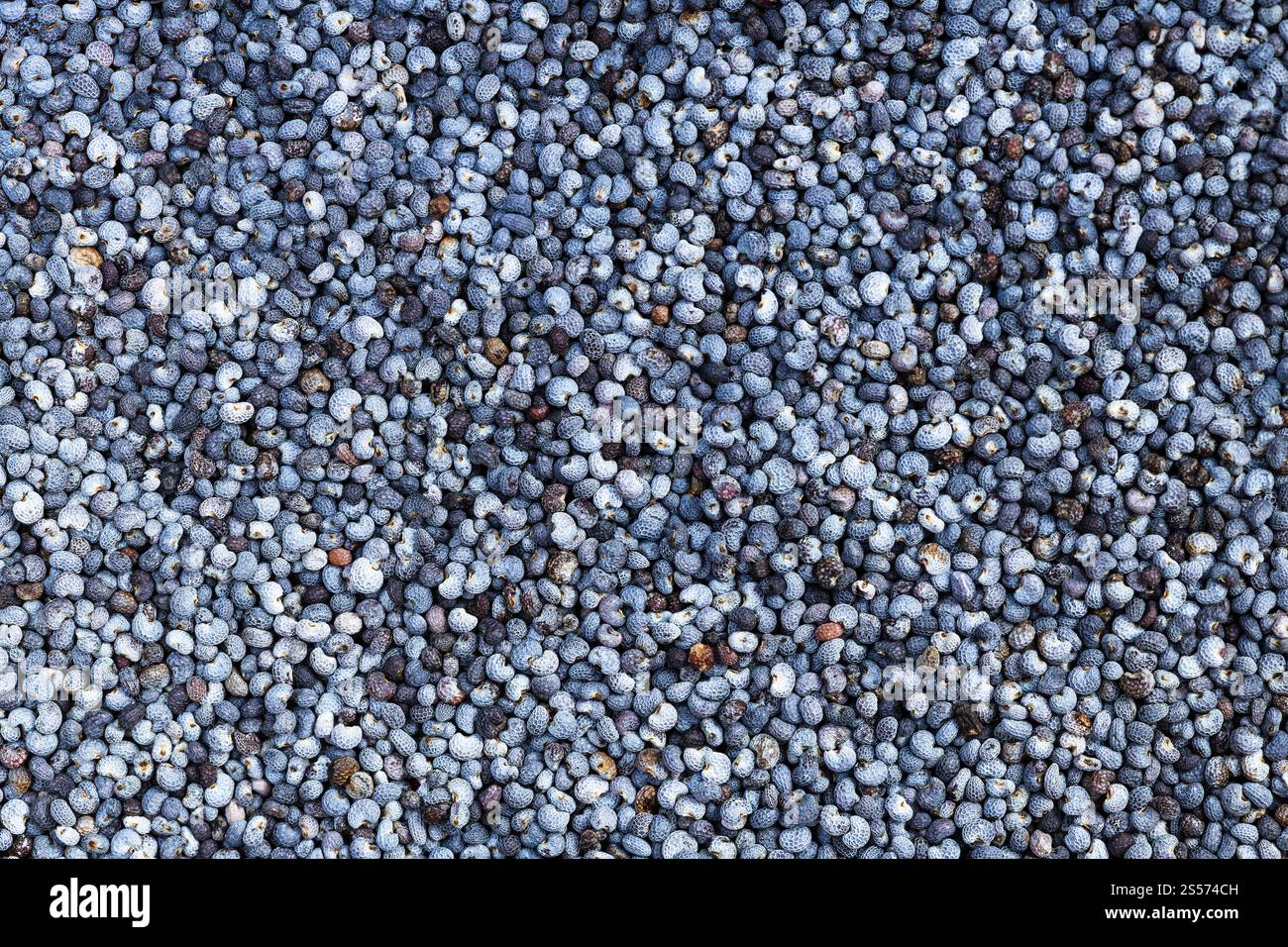 food background - many little poppy seeds Stock Photo - Alamy