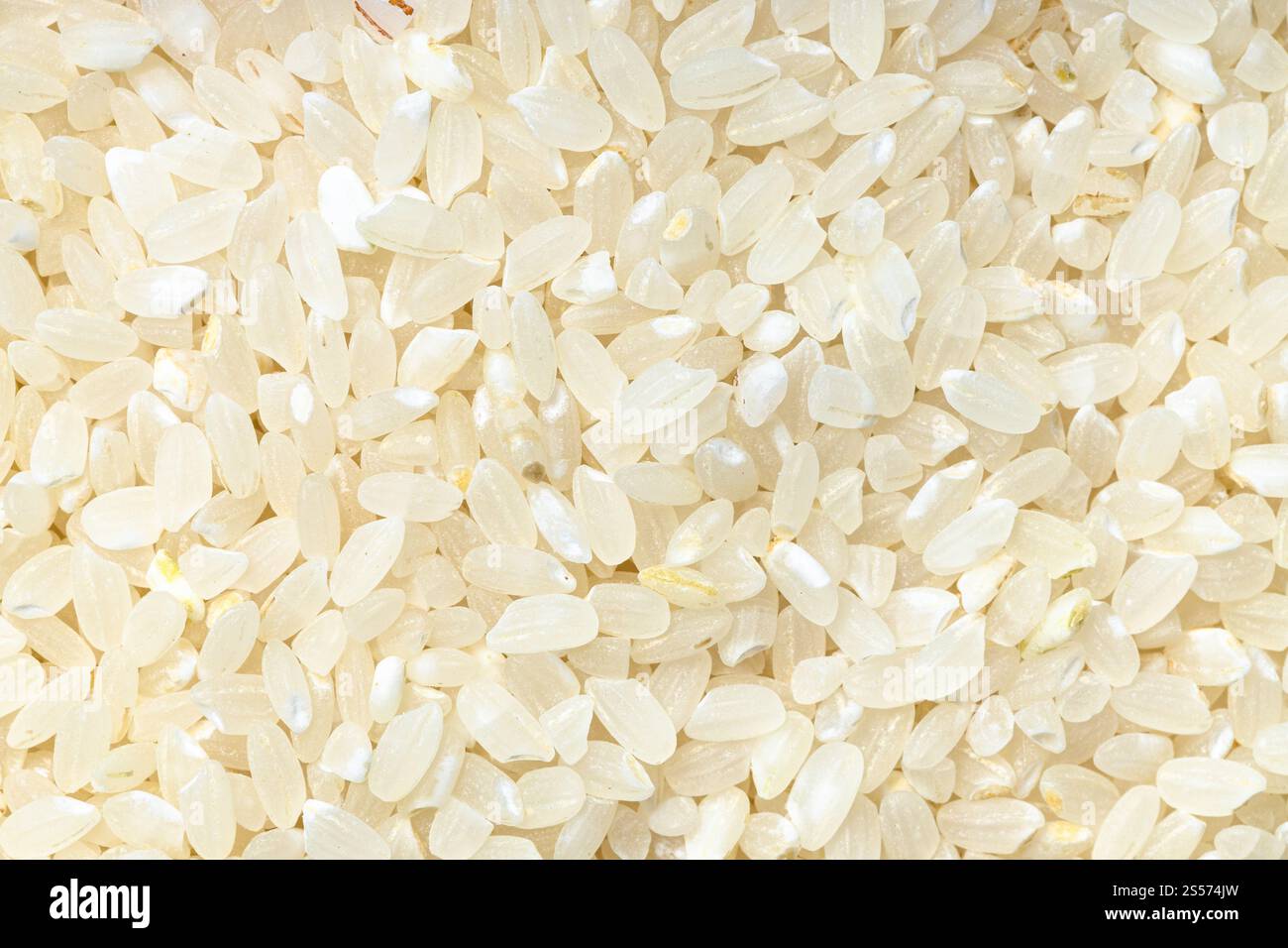 food background - uncooked polished medium-grain rice Stock Photo - Alamy