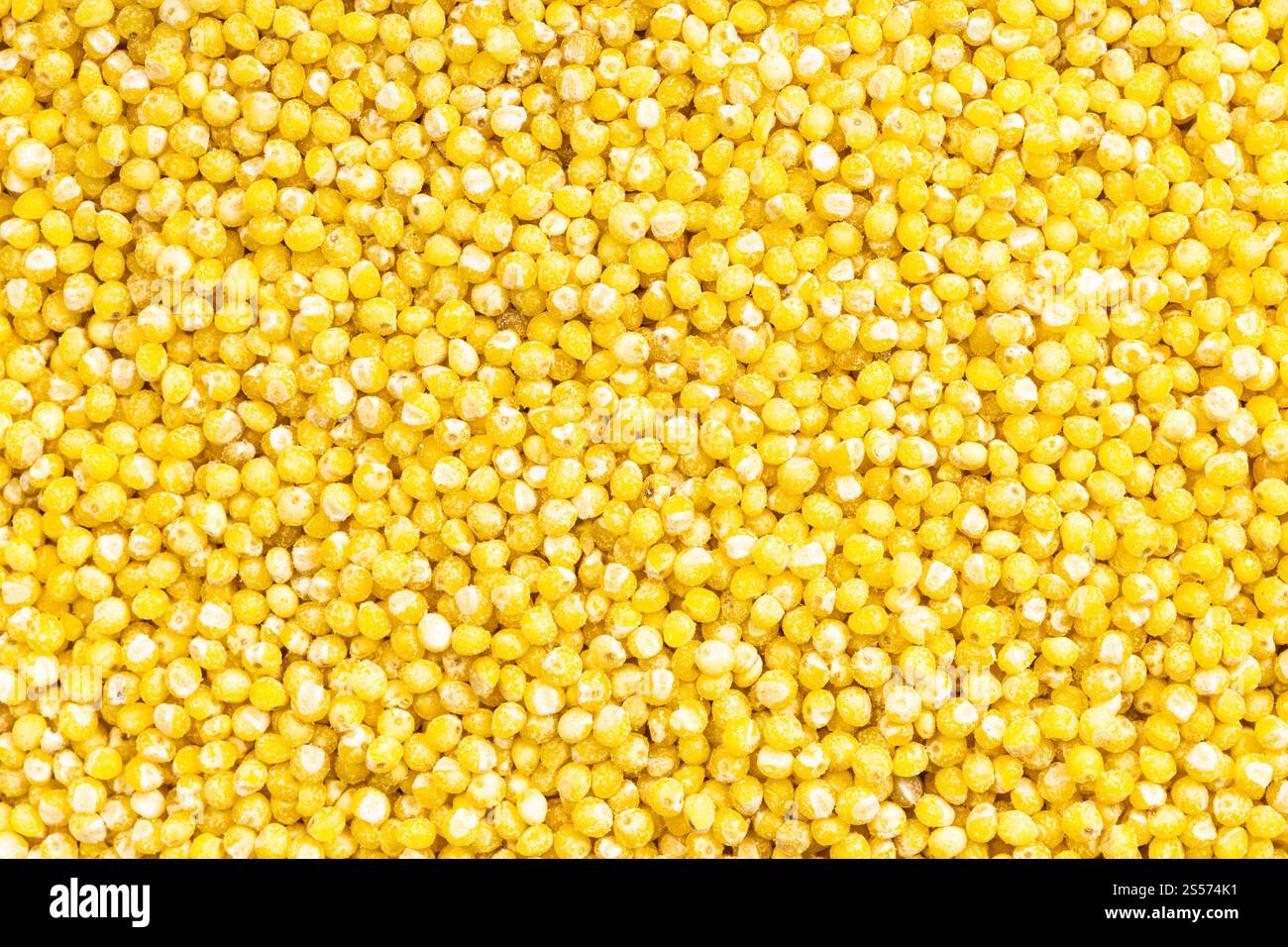 food background - uncooked polished proso millet grains Stock Photo - Alamy