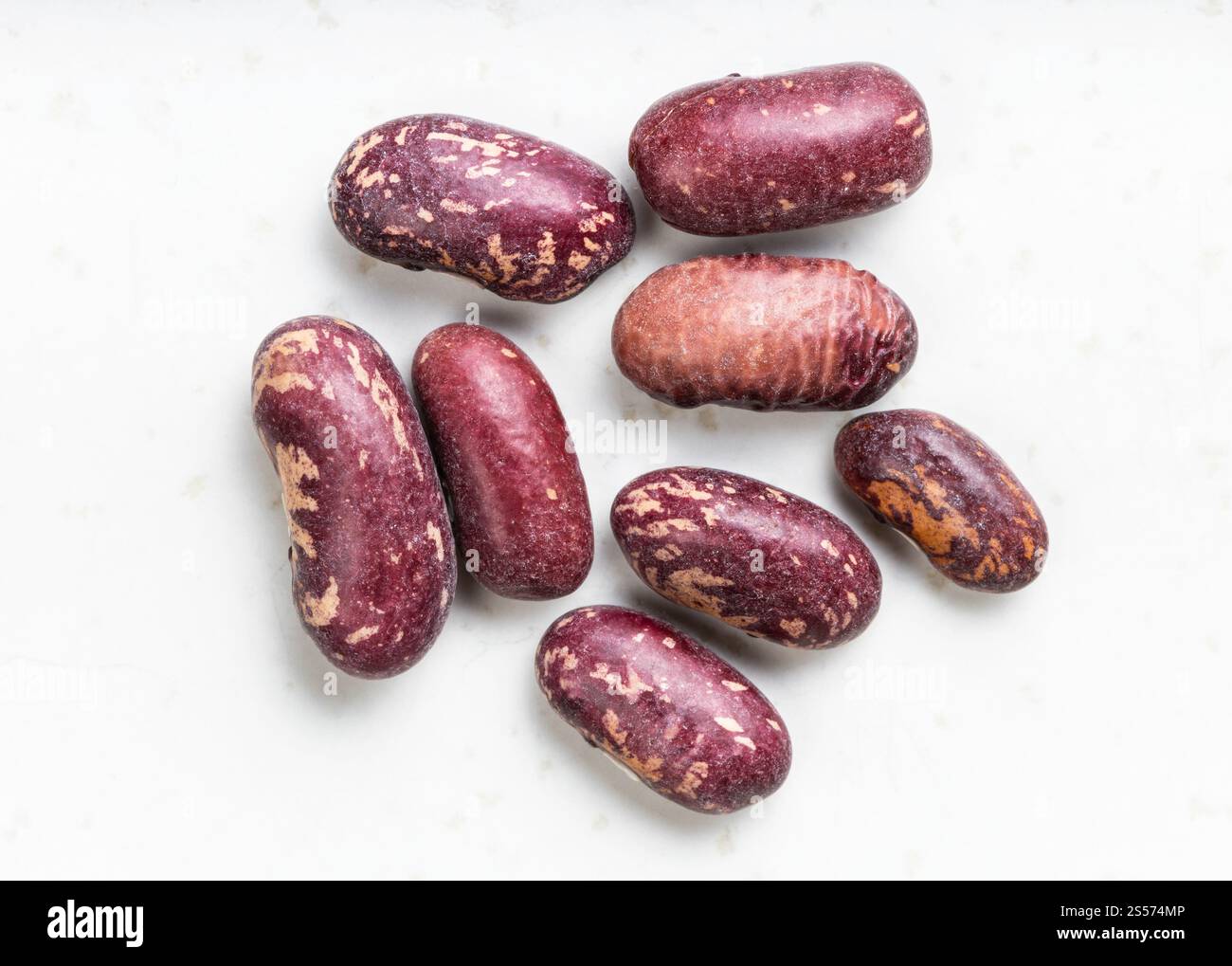 several raw red spotted pinto beans close up on gray ceramic plate ...