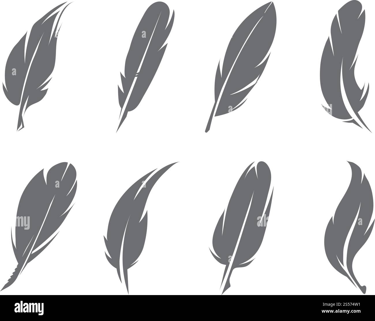 Vector illustrations of feathers. Pen of bird for writing, quill fluffy ...