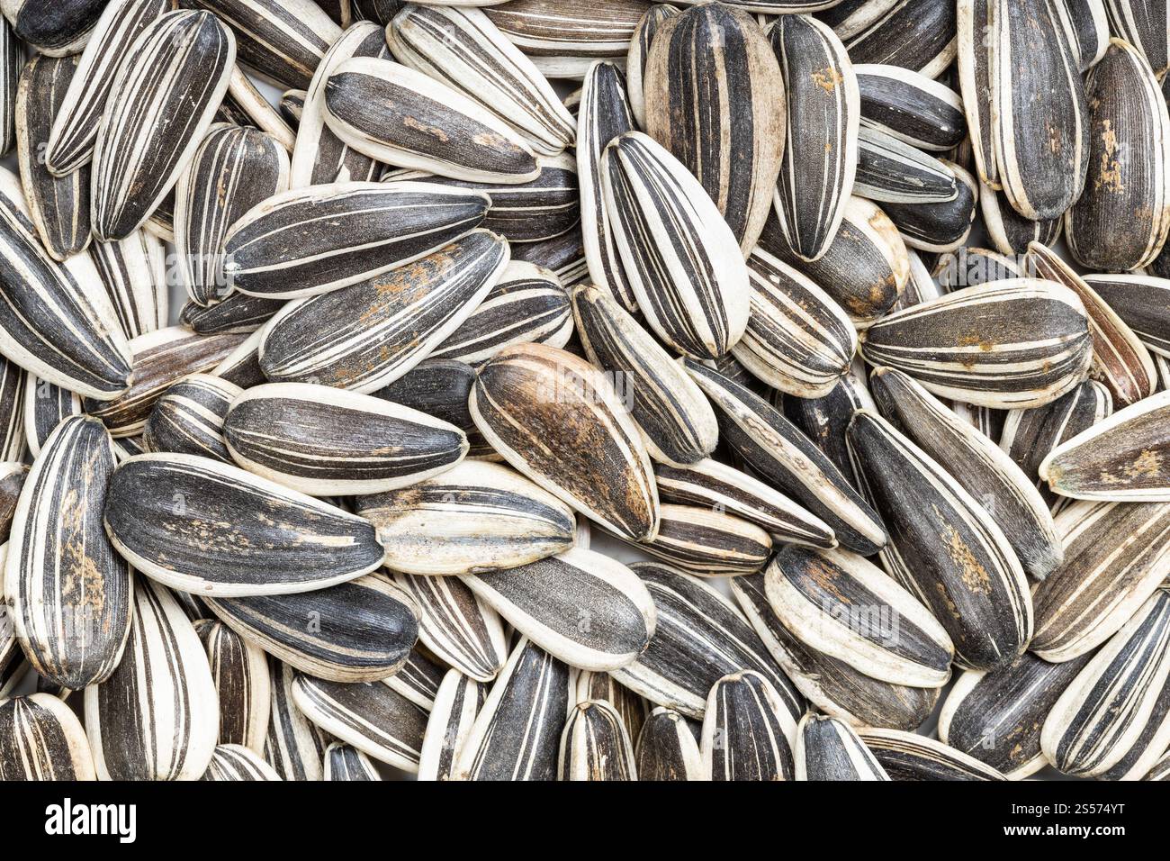 food background - many whole sunflower seeds Stock Photo - Alamy