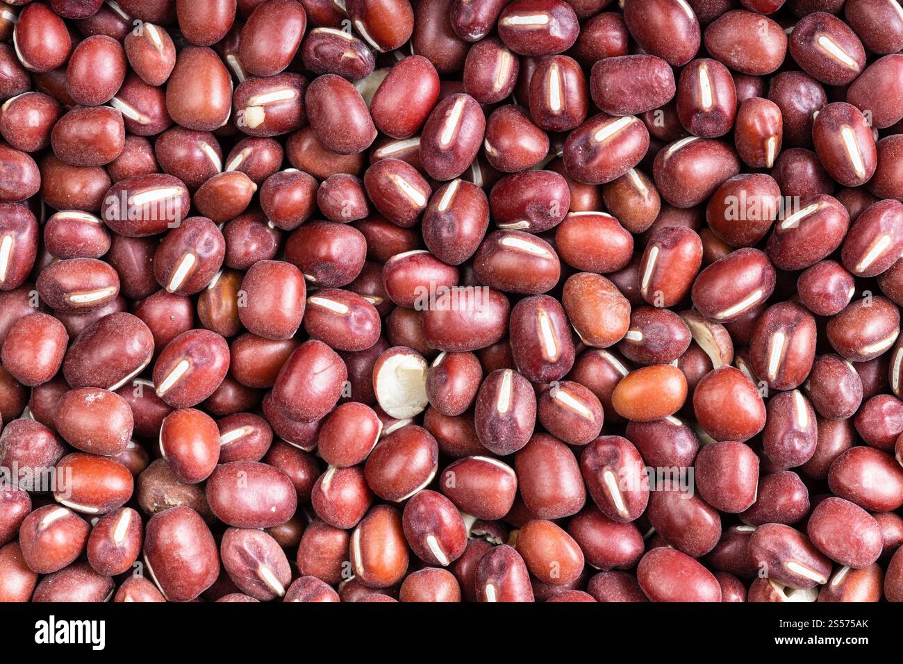 food background - many raw adzuki beans close up Stock Photo - Alamy