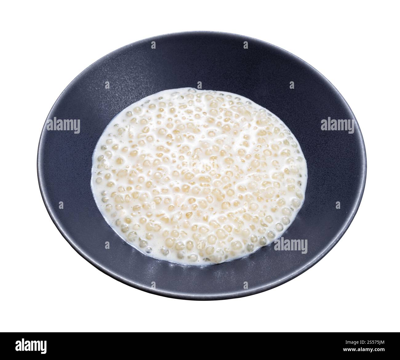 boiled sabudana (tapioca sago) in gray bowl isolated on white ...