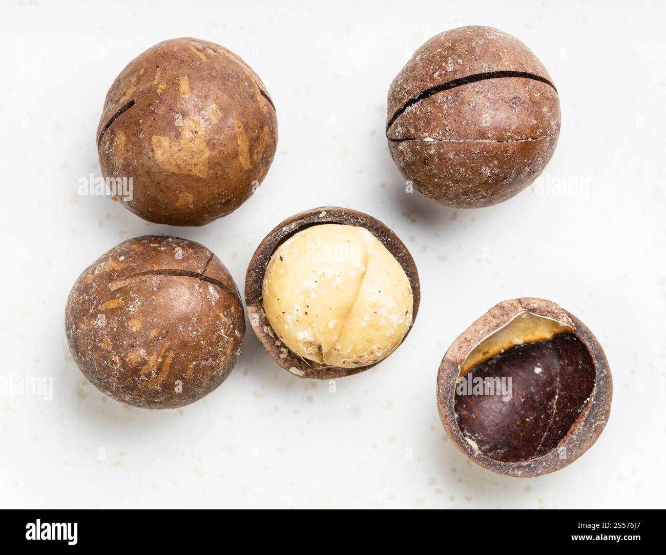 few sawn and shelled macadamia nuts close up on gray ceramic plate ...