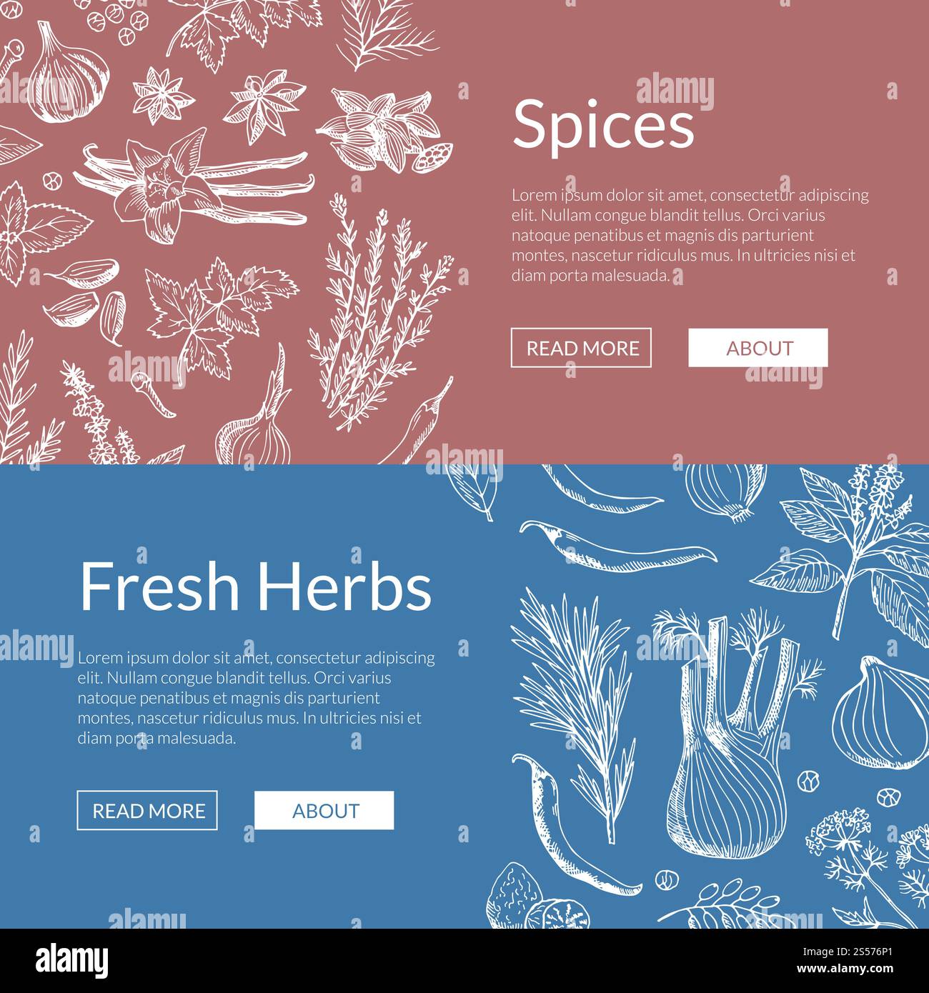 Vector hand drawn herbs and spices horizontal web banners illustration ...