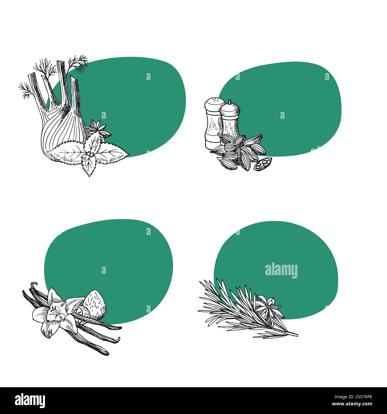Vector stickers of set hand drawn herbs and spices illustration ...