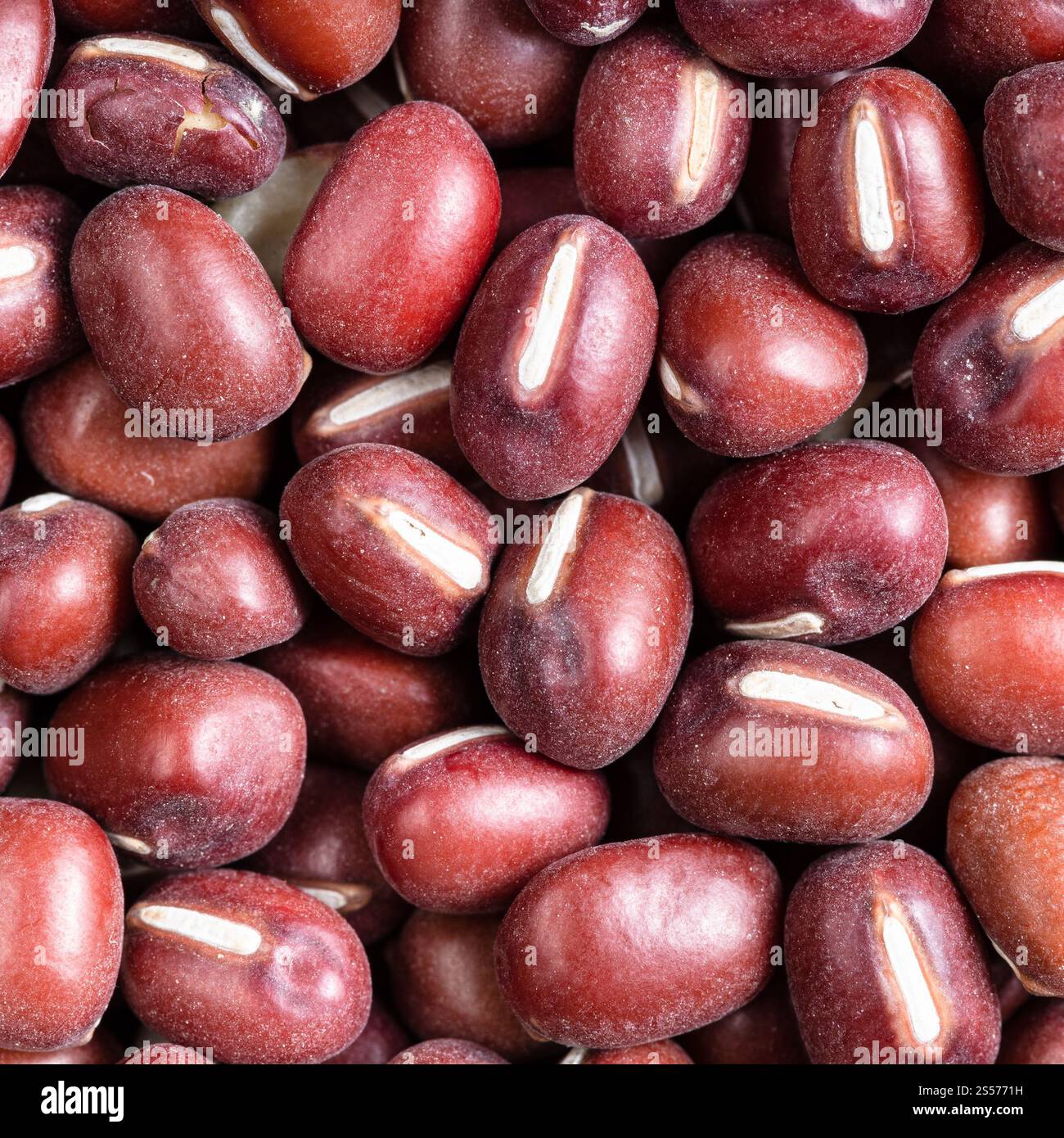 square food background - raw adzuki beans close up Stock Photo - Alamy