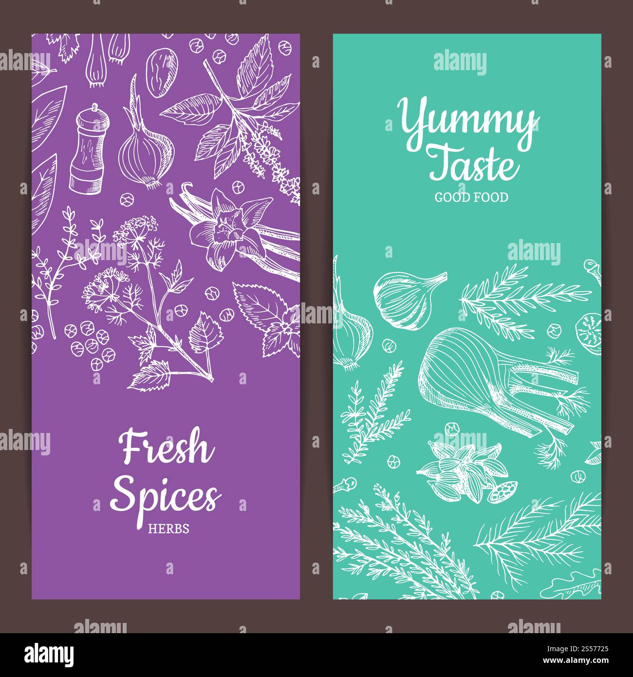 Vector hand drawn herbs and spices vertical web banners illustration ...