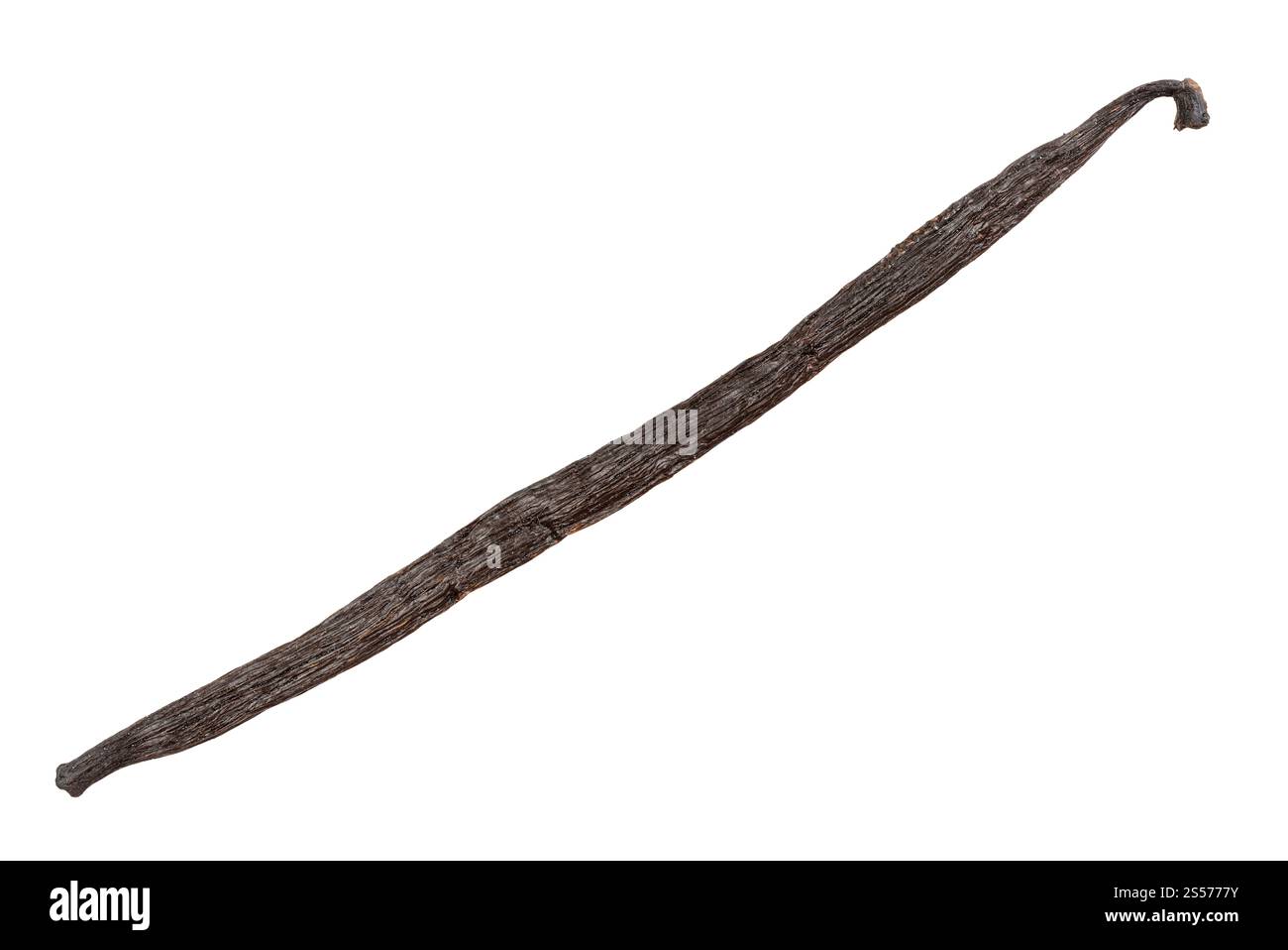 whole Bourbon - Madagascar vanilla vanilla pod isolated on white ...