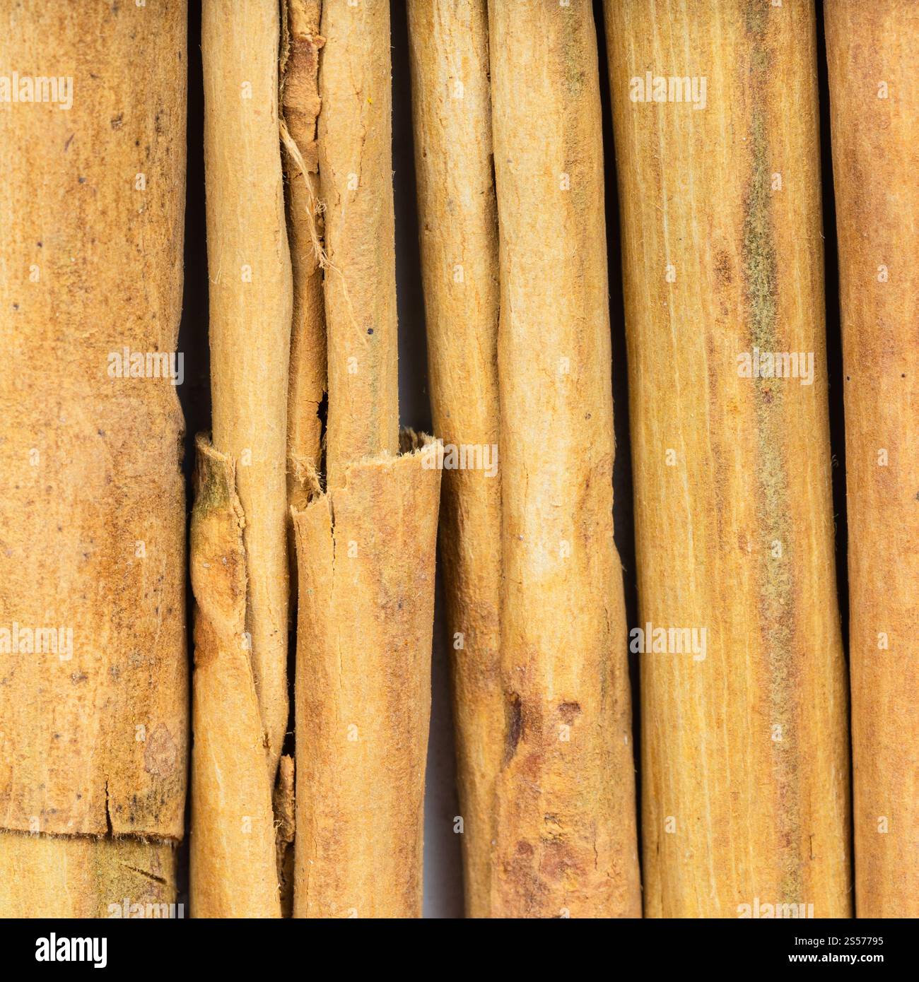 square food background - several sticks of alba premium ceylon cinnamon ...