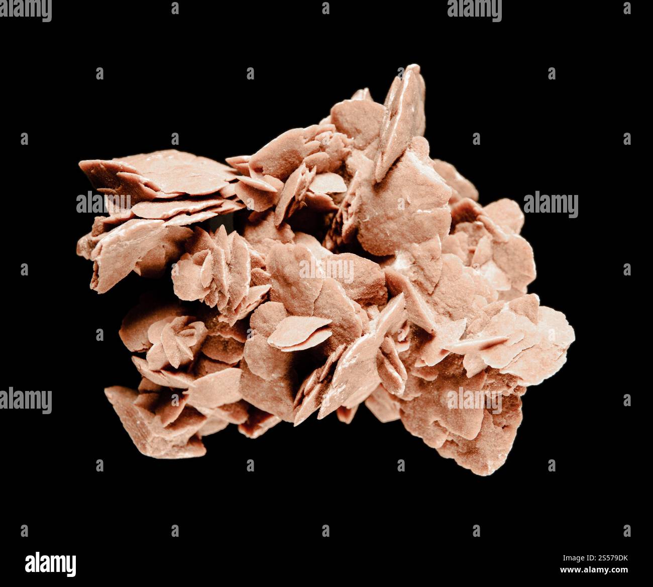 Desert rose crystal isolated on black background. Closeup view. Desert ...