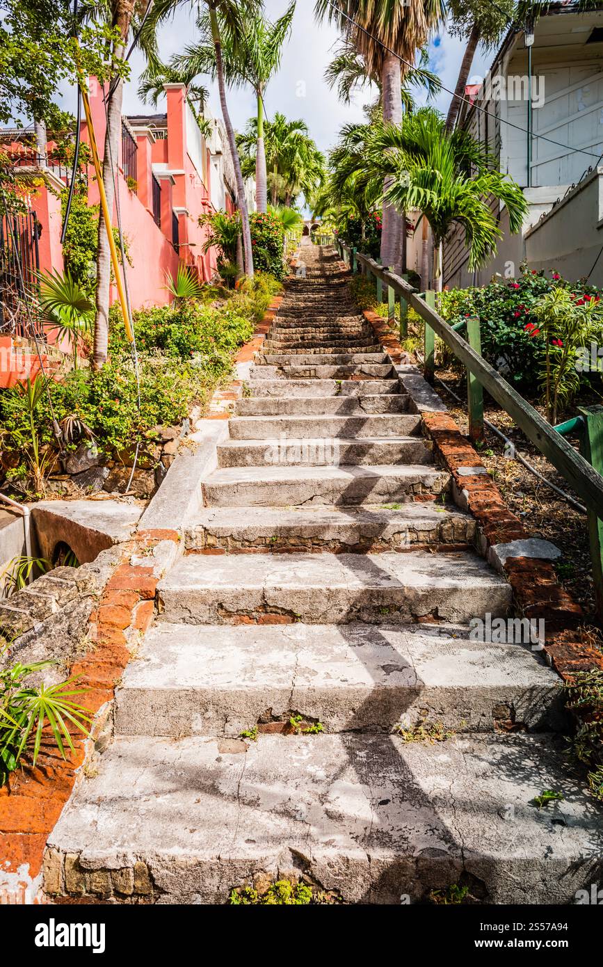 These historical 99 steps (the actual count is 103) were built from the ...