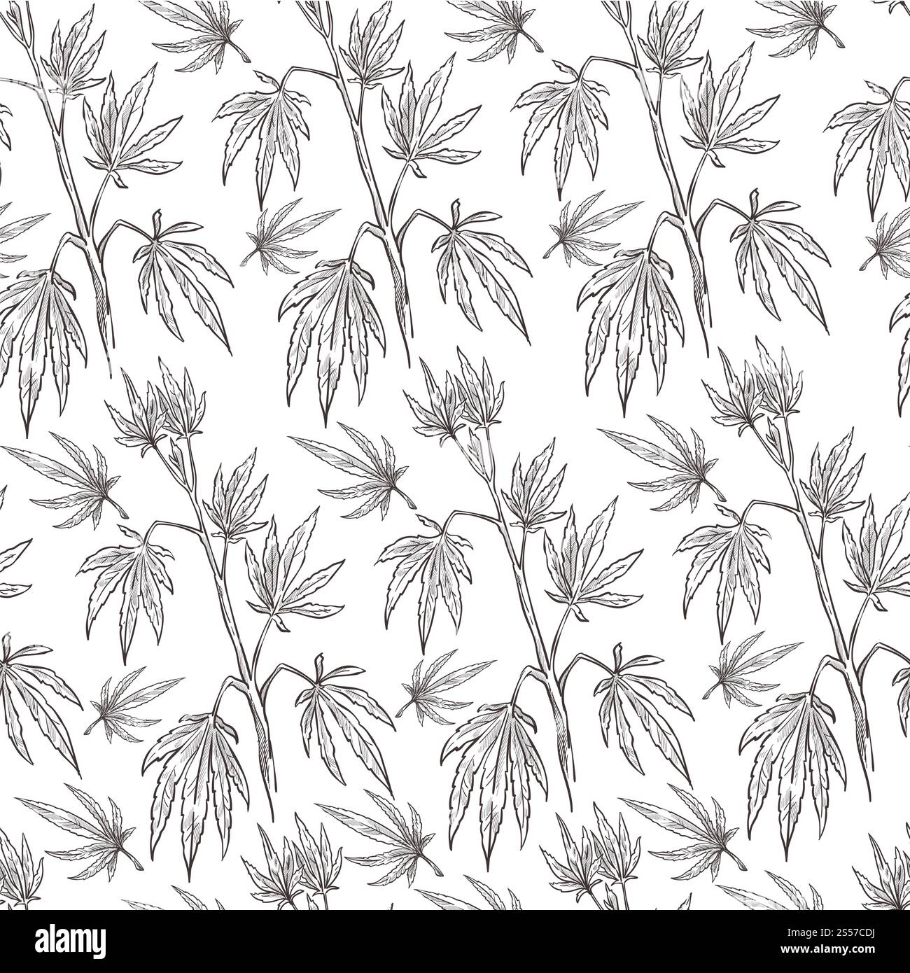 Marijuana leaves on branches, seamless pattern of foliage. Hashish ...