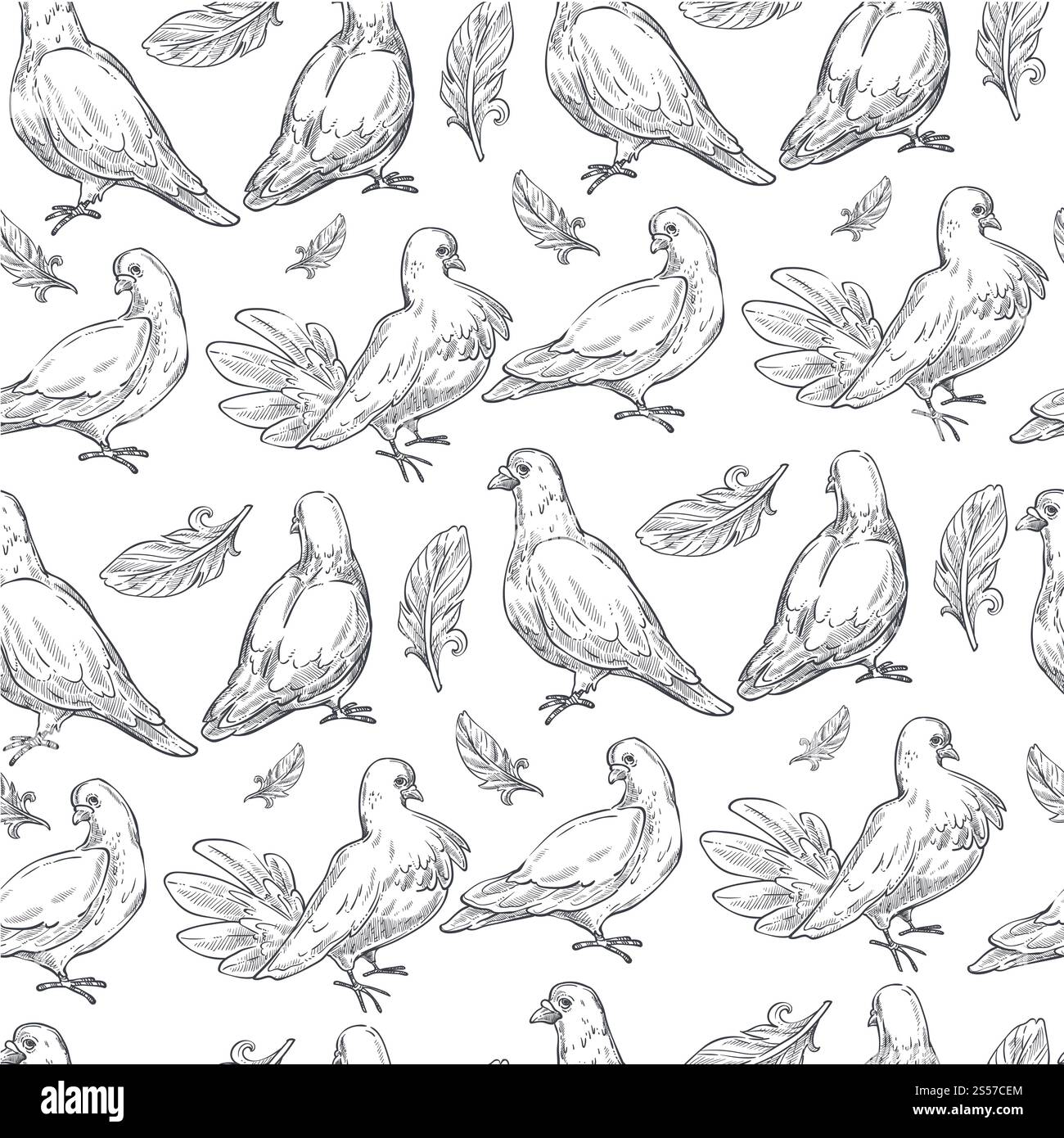 Pigeons in profile and back view, seamless pattern. Birds with plumage ...